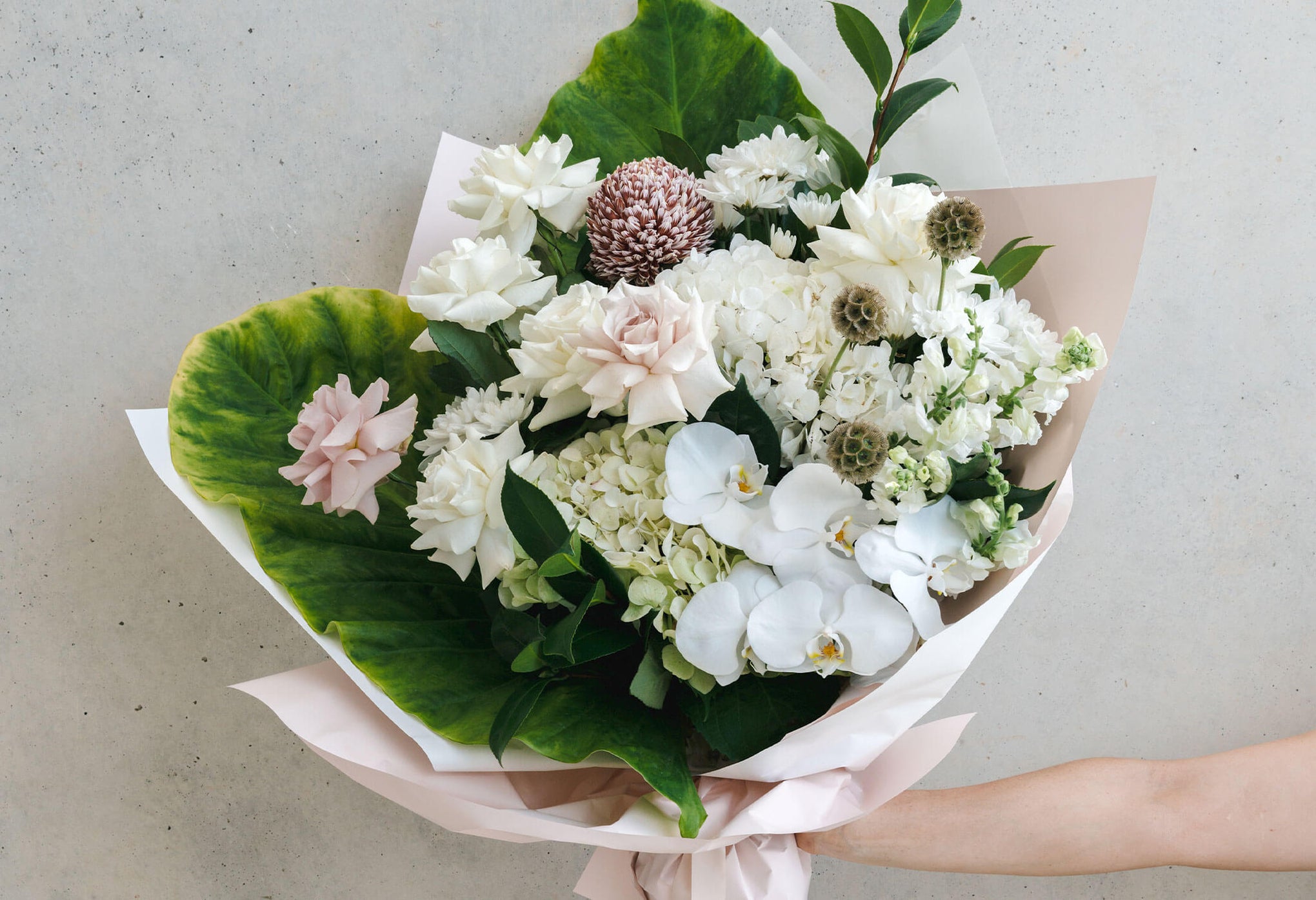 Eden Flower Studio– Eden Flower Studio Australia